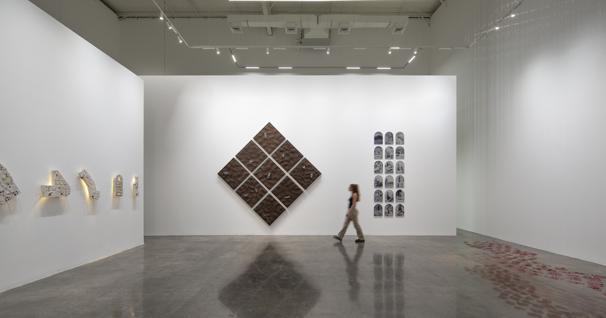 SELECTED PRESS | Lawrie Shabibi